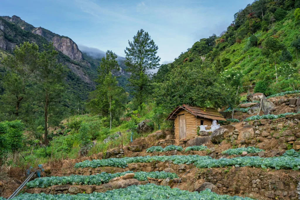 About Us - Exotic Getaways UK